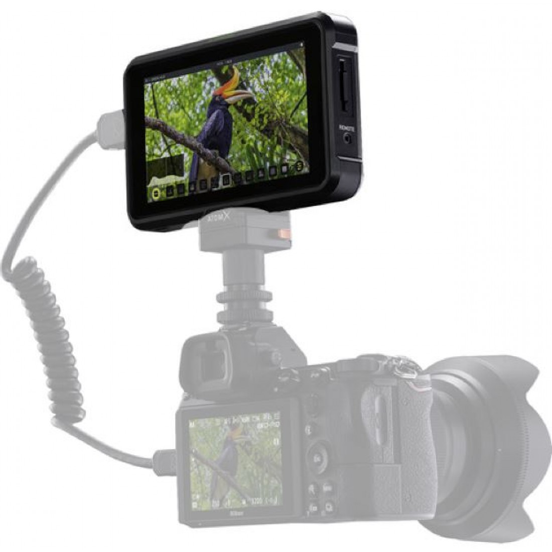 Atomos Shinobi 5 inch HDR HDMI monitor