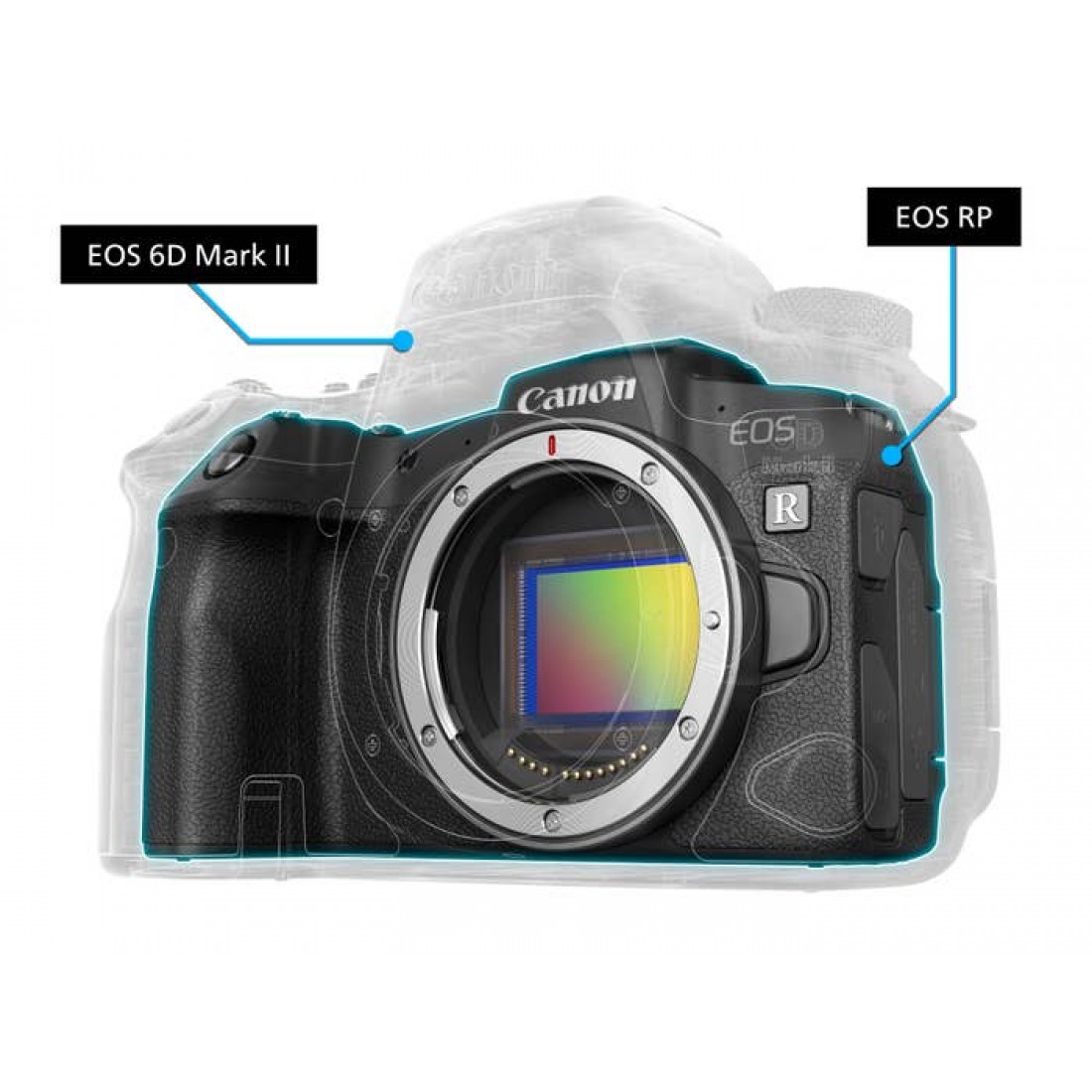 Canon EOS RP (Body Only) Mirrorless Digital Camera with EF-EOS ...